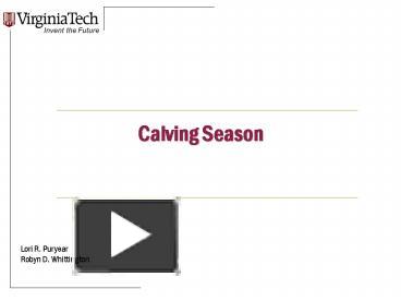 PPT – Calving Season PowerPoint presentation | free to view - id: 64e9b ...