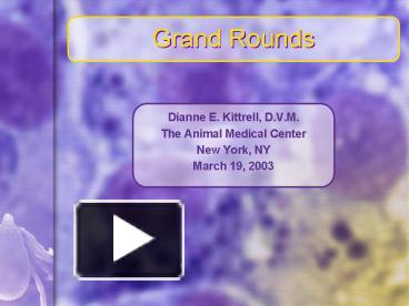 PPT – Grand Rounds PowerPoint presentation | free to view - id: 651b7-ZDc1Z
