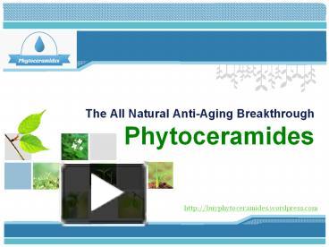 PPT – Phytoceramides PowerPoint presentation | free to download - id ...