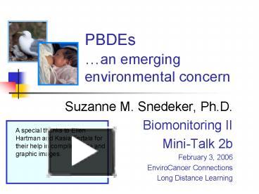 PBDEs presentation | free to view