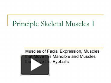 Principle Skeletal Muscles 1 presentation | free to download