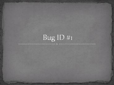PPT – Bug ID PowerPoint presentation | free to view - id: 66034-MzEwZ
