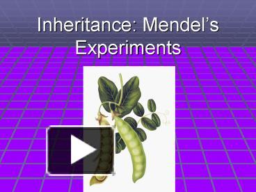 PPT – Inheritance: Mendel PowerPoint presentation | free to download ...