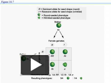 PPT – PowerPoint Presentation - WELCOME TO BIOLOGY 2002 PowerPoint ...