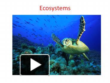 Ecosystems presentation | free to download