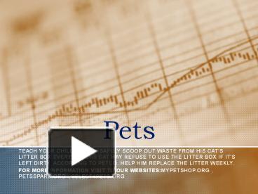 PPT – Pets PowerPoint presentation | free to download - id: 662b3a-NjMxN