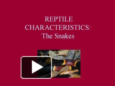 REPTILE CHARACTERISTICS: The Snakes presentation | free to view
