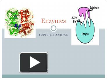 Enzymes presentation | free to download