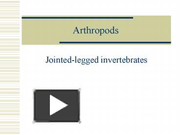 PPT – Arthropods PowerPoint presentation | free to view - id: 669ee-ZDc1Z