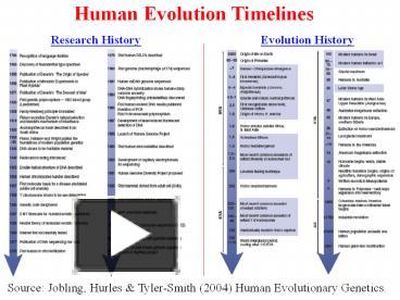 PPT – Human Evolution Timelines PowerPoint presentation | free to ...