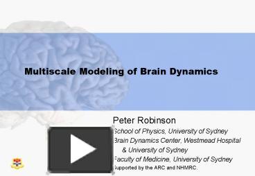 Multiscale Modeling of Brain Dynamics presentation | free to download