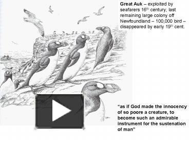 PPT – as if God made the innocency PowerPoint presentation | free to ...