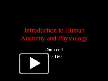PPT – Introduction to Human Anatomy and Physiology PowerPoint ...
