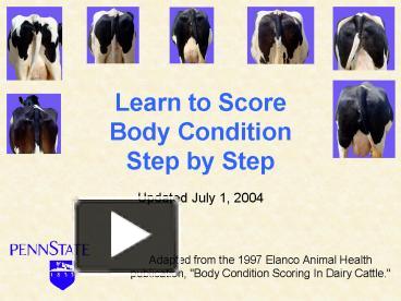 Learn to Score Body Condition Step by Step presentation | free to view