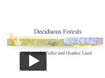 PPT – Deciduous Forests PowerPoint presentation | free to view - id ...