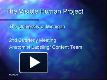 PPT – The Visible Human Project PowerPoint presentation | free to ...