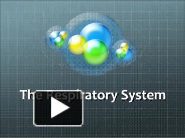 The Respiratory System presentation | free to download