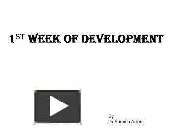 1ST week of development presentation | free to download