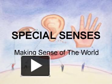 SPECIAL SENSES presentation | free to view