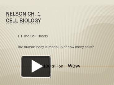 Nelson Ch. 1 Cell Biology presentation | free to view