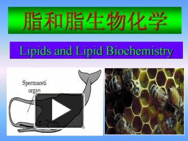 PPT – ???????? (Lipids and Lipid Biochemistry) PowerPoint presentation ...