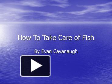 How To Take Care of Fish presentation | free to view