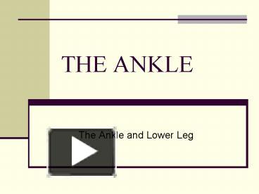 PPT – THE ANKLE PowerPoint presentation | free to download - id: 68d345 ...