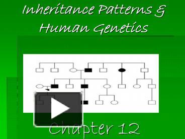 PPT – Inheritance Patterns PowerPoint presentation | free to view - id ...