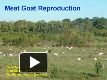 Meat Goat Reproduction presentation | free to download