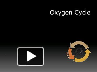 oxygen cycle presentation | free to download