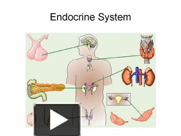Endocrine System presentation | free to download