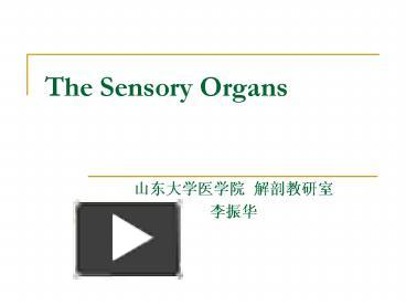 PPT – The Sensory Organs PowerPoint presentation | free to view - id ...