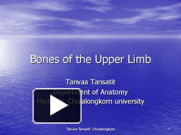 PPT – Bones of the Upper Limb PowerPoint presentation | free to view ...