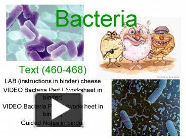 PPT – Bacteria PowerPoint presentation | free to download - id: 69c40f ...