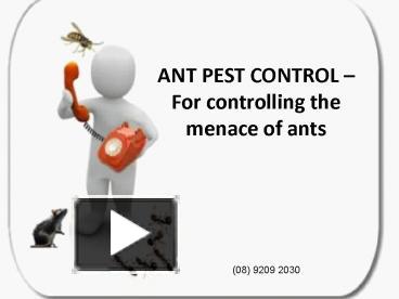 PPT – ANT PEST CONTROL – For controlling the menace of ants PowerPoint ...
