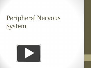 Peripheral Nervous System presentation | free to view