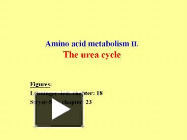 PPT – Amino acid metabolism II. The urea cycle PowerPoint presentation ...