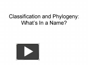 PPT – Classification and Phylogeny: What PowerPoint presentation | free ...
