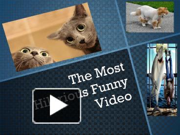 PPT – The Most Hilarious Funny Video PowerPoint presentation | free to ...