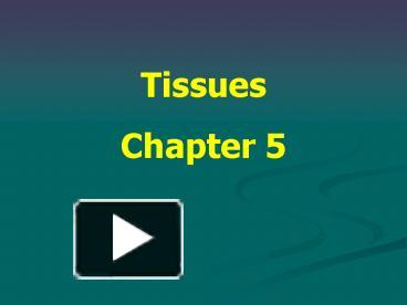 Tissues presentation | free to download