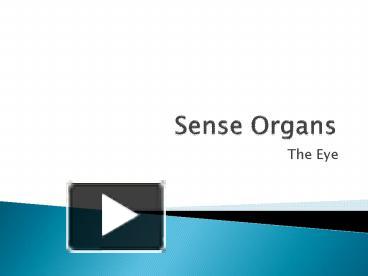 PPT – Sense Organs PowerPoint presentation | free to view - id: 6a820e ...
