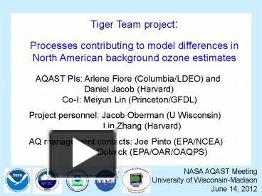 Tiger Team project: presentation | free to download