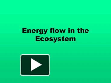 PPT – Energy flow in the Ecosystem PowerPoint presentation | free to ...