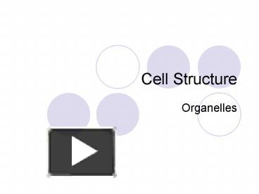 PPT – Cell Structure PowerPoint presentation | free to download - id ...