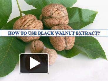 How to Use Black Walnut Extract? presentation | free to download