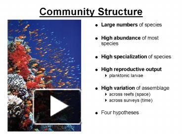 PPT – Community Structure PowerPoint presentation | free to view - id ...