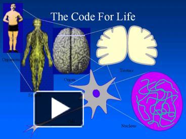 PPT – The Code For Life PowerPoint presentation | free to download - id ...