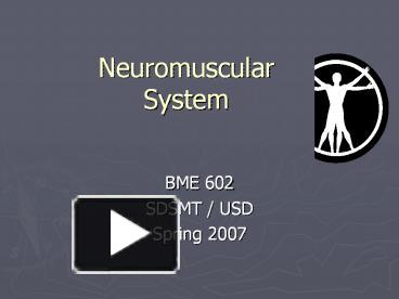 Neuromuscular System presentation | free to download