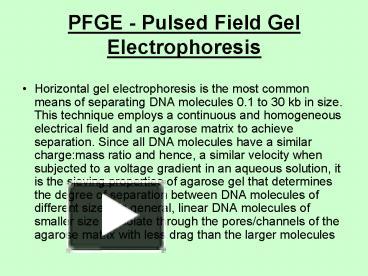 PFGE Pulsed Field Gel Electrophoresis presentation | free to view