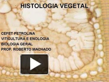PPT – HISTOLOGIA VEGETAL PowerPoint presentation | free to view - id ...
